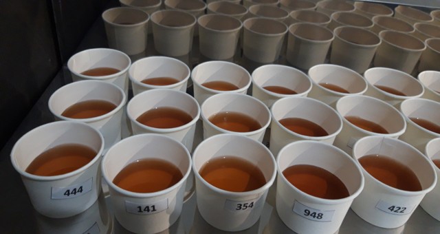 Optimalisasi Formulasi Kombucha Lada Berdasarkan Penerimaan Konsumen ...