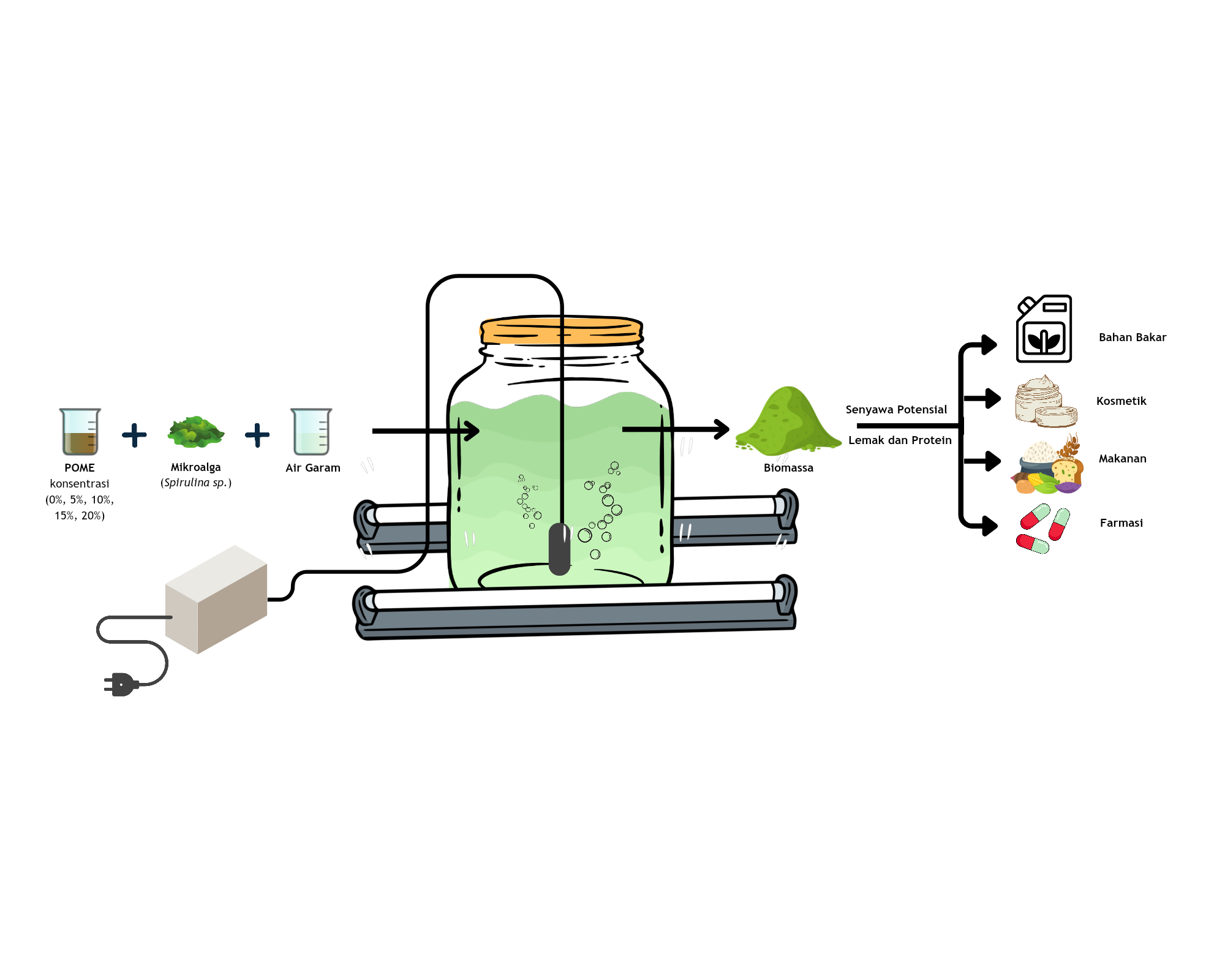 Potensi Spirulina sp. sebagai Sumber Produksi Biodiesel sekaligus ...