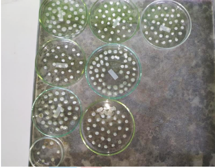 Sintesis Hidrogel dari Kitosan dan Alginat Termodifikasi - LPPM ITK