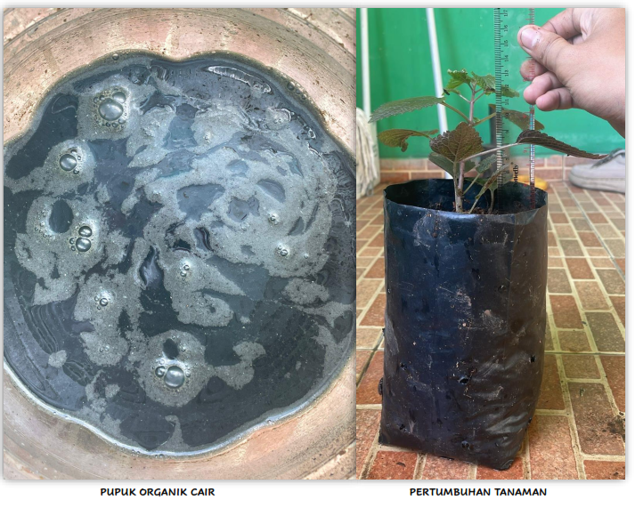 Pengolahan Sampah Organik Menggunakan Maggot Menjadi Pupuk Organik ...